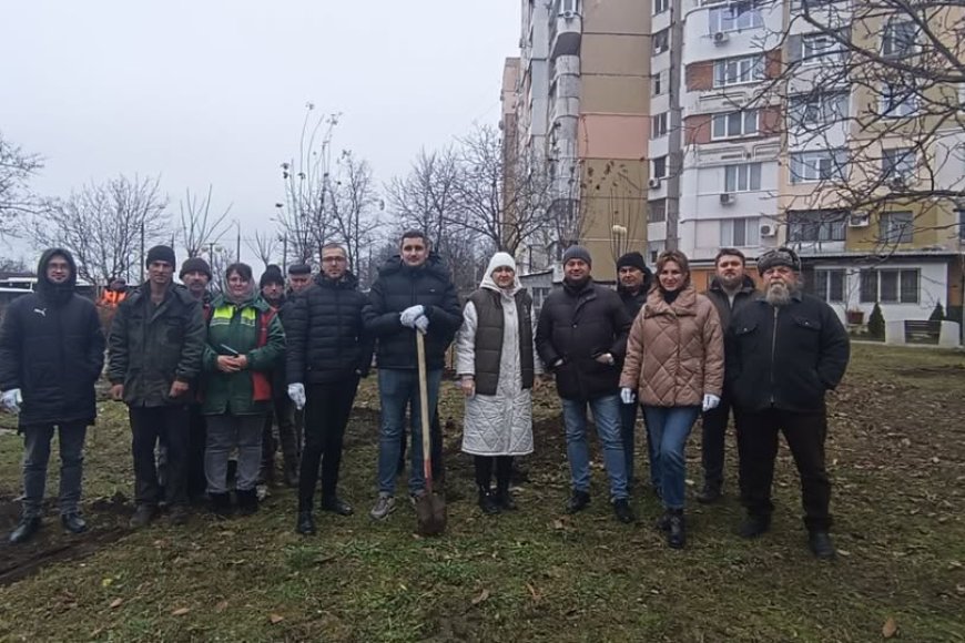 Plantarea unui copac frumos este întotdeauna o idee bună! - Pretura ...